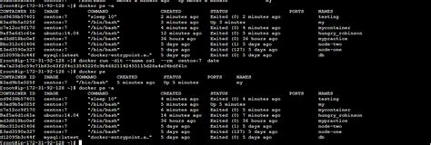 Docker Day 7 Understanding The Container Life Cycle By Prateek
