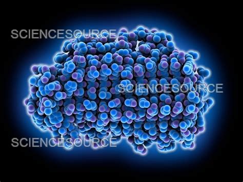 Streptococcus Bacterial Surface Protei Stock Image Science Source Images