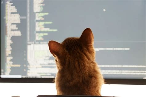 cursor for vibe coding a complete guide by youware medium