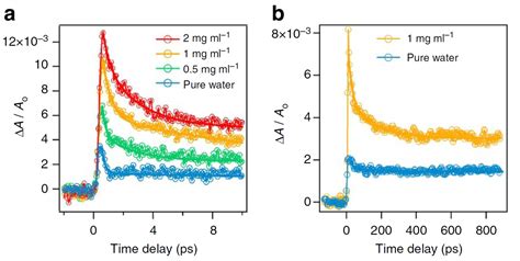 Introduction To Transient Absorption Spectroscopy Avantes