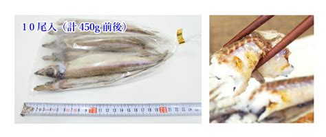 【楽天市場】山陰産 一夜干し ニギス 20尾 （10尾×2袋） 計900g前後 焼くだけ 酒の肴 冷凍便 送料無料 [mry] 沖キス 干物