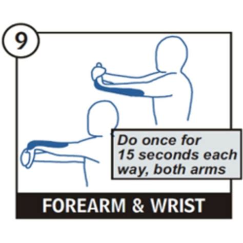 Forearm And Wrist By Leo B Exercise How To Skimble