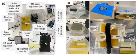 A Top Down View Of Experimental Setup The Inset Figure Shows The Way Download Scientific