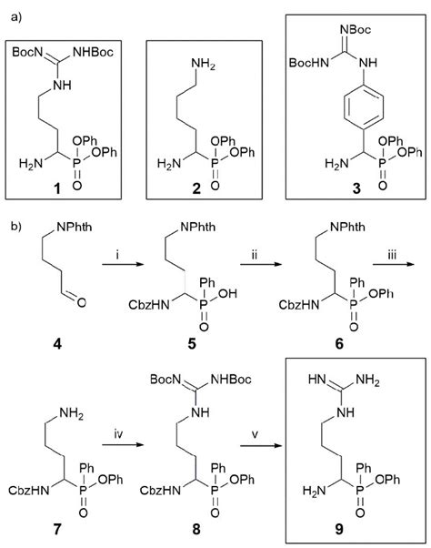 Scheme 1 Phosphonate And Phosphinate Reactive Electrophile Warheads