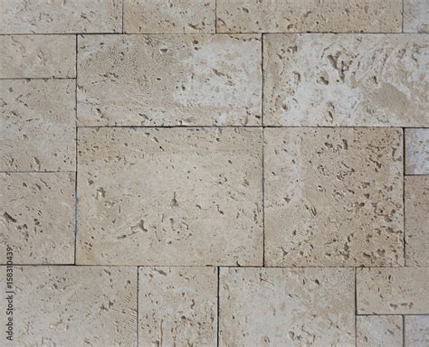 Coral Stone Cladding Texture