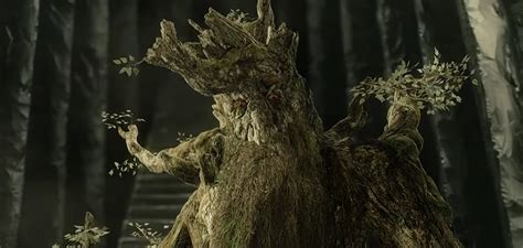 Treebeard Memes Imgflip