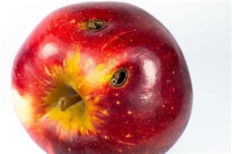 흰색 바탕에 빨간 벌레 버 릇된 사과