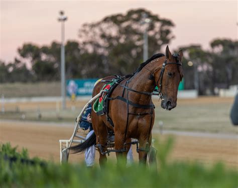Hrsa Sa Bred And Owned Encipher Takes The Honours At The Victoria