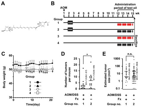 Body Weight Tumor Number And Size In Colitis Induced Carcinogenesis Download Scientific