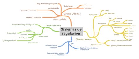 Sistemas De Regulación Sistema Nervioso Estructuras Neuronas Cerebro…