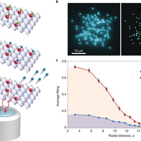 Microscopy Of Molecules In An Optical Lattice A Three Step Process For