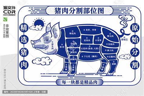 猪肉分割部位图 猪肉分割图 猪肉部位图