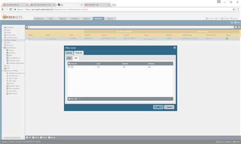 Ipv6 Ipsec Vpn Tunnel Palo Alto Fortigate