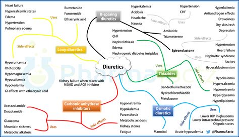 Medication Concept Map Template Printable Word Searches