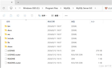 mysql8 0忘记密码修改密码 csdn博客