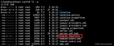Web服务器群集：tomcat配置证书tomcat配置证书 Csdn博客