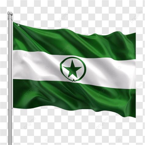 추상 파키스탄 국기 소용돌이 추상 파키스탄 깃발 소용돌이 파키스탄의 국기 Png 일러스트 및 이미지 에 대한 무료 다운로드 Pngtree