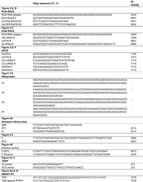 Figure 4 From Biogenesis Of Telomerase Rna From A Protein Coding Mrna Precursor Semantic Scholar