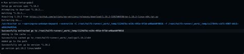 uses a different version than specified · issue 274 · actions setup go