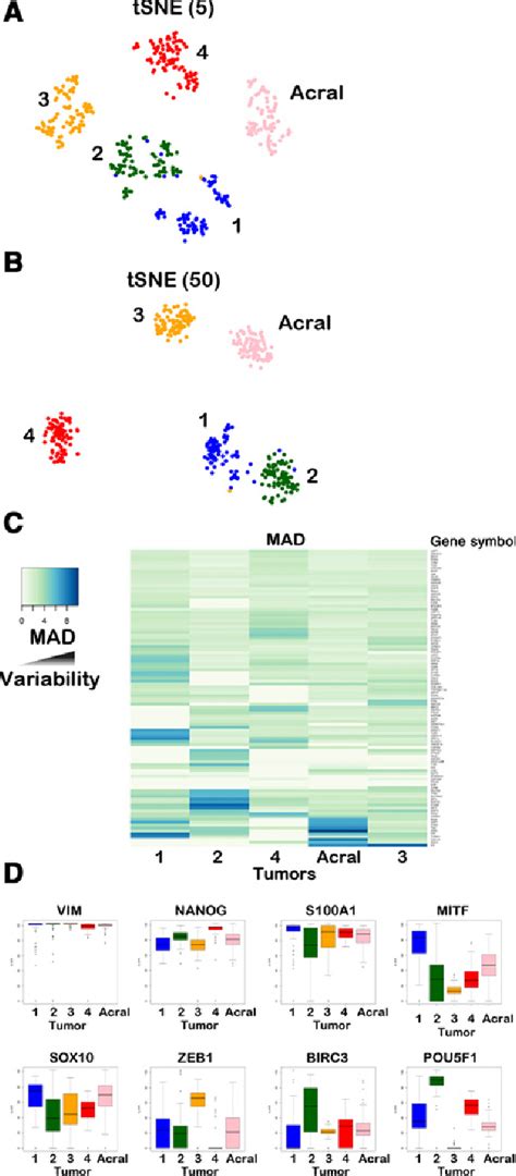 figure 3 from mitf high and mitf low cells and a novel subpopulation