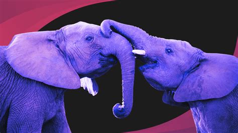 Completely Revamp Your Salesforce Account Hierarchy Experience Salesforce Ben