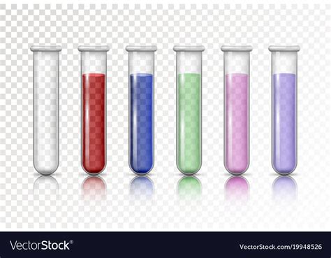Empty And Filled Flask For Chemical Lab Royalty Free Vector