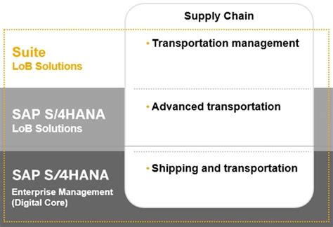 Sap Transportation Management Module Implementation Onespire 2020