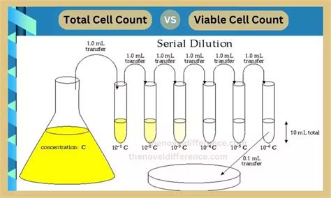 Difference Between Total Cell Count And Viable Cell Count The Novel Difference
