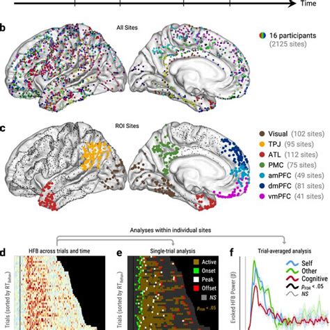 A Neurocognitive Sequence For Mentalizing Brain Maps Plot All Sites On