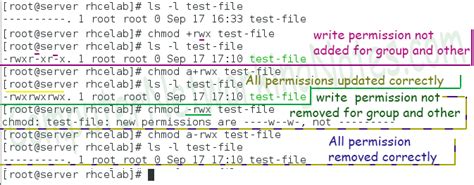 How To Use Chmod Command In Linux Explained With Examples
