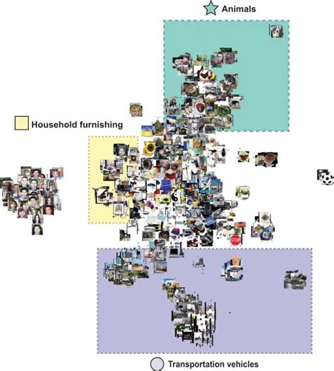 Symmetry Aware Recursive Image Similarity Exploration For Materials