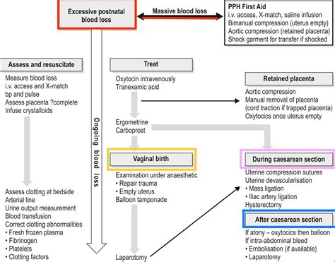 Flow Chart Pph Management Obg Social หมอสูติคู่มือถือคุณ