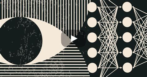 Deep Nets And The Primate Visual System Theoretically Speaking