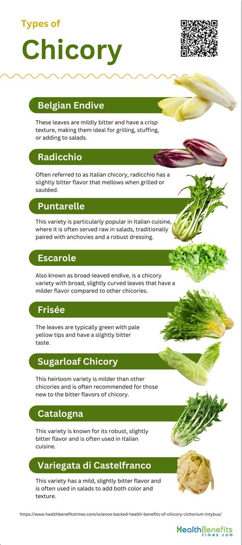 Science Backed Health Benefits Of Chicory Cichorium Intybus Health