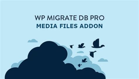 Wp Migrate Db Pro Media Files Addon 99plugs