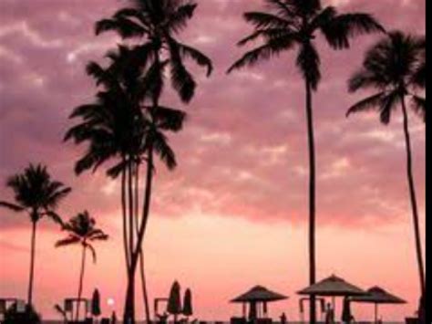 Avisinhosespero Que Gostem😊 Quizur