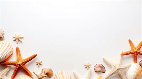 Premium Ai Image A White Background With Many Different Shells And