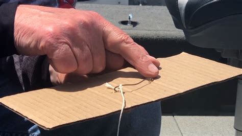 Fishing Tips How To Safely Remove A Hook Lakeland PBS