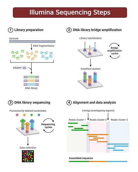 Massively Parallel Sequencing Mps Principle Steps Uses
