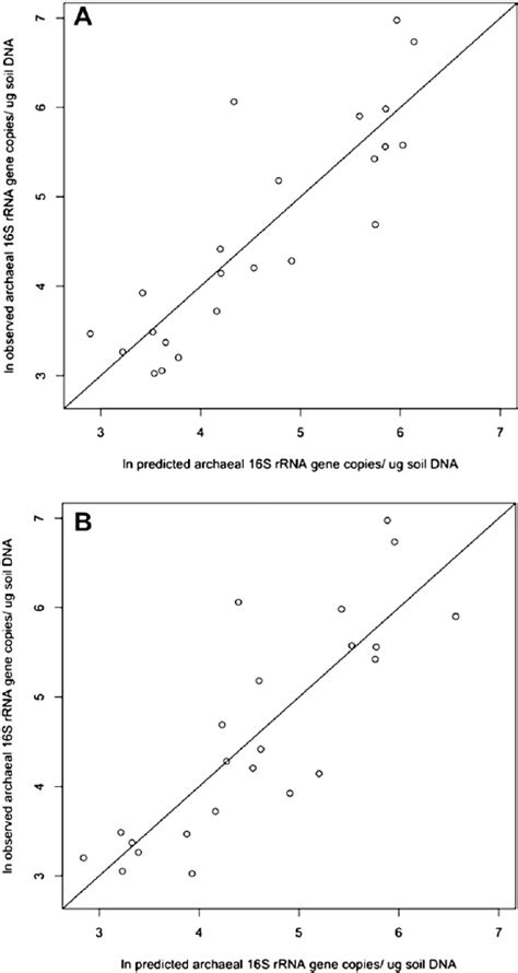 Multiple Linear Regression Model Describing The Relative Abundance Of Download Scientific