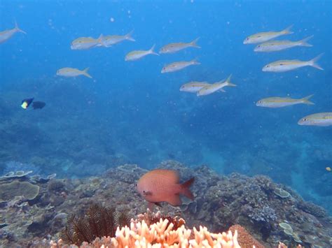 컨딩여행 헝춘 스쿠버다이빙 서울오빠 다이빙샵 펀다이빙 네이버 블로그