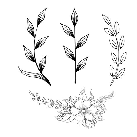 premium vector floral frame elements set