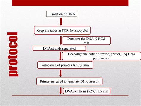 Random Amplified Polymorphic Dna Rapd Pptx