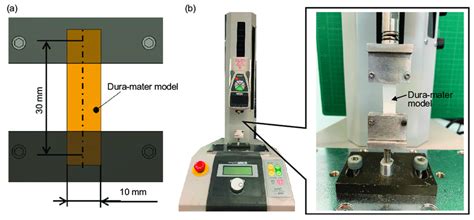 Tensile Test A Sample Size For The Tensile Test B Measurement Download Scientific Diagram