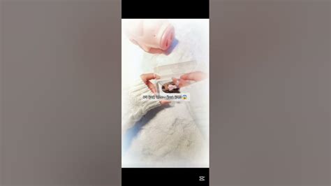 나나공약 구독공약좋아요공약구독 관리자님추천뜨게해주세요 관리자님잘생겼어요 관리자님 관리자님이거추천어때요 뀨 Youtube