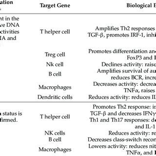 The Effects Of Sex Hormones On Cells Of Immune System Download Scientific Diagram