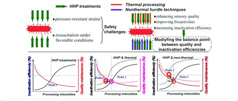 Background For Proposing The Combination Of High Hydrostatic Pressure