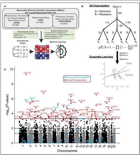 figure 1 from evolutionary action machine learning model identifies