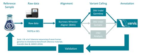 Ngs Validation As A Service Limbus News