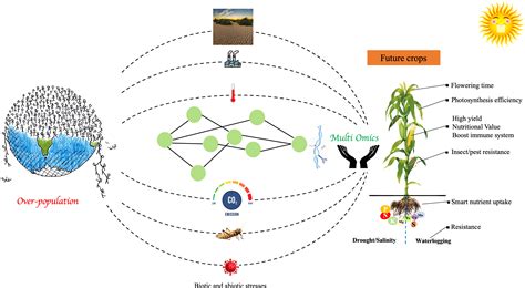 Frontiers Multi Omics Revolution To Promote Plant Breeding Efficiency
